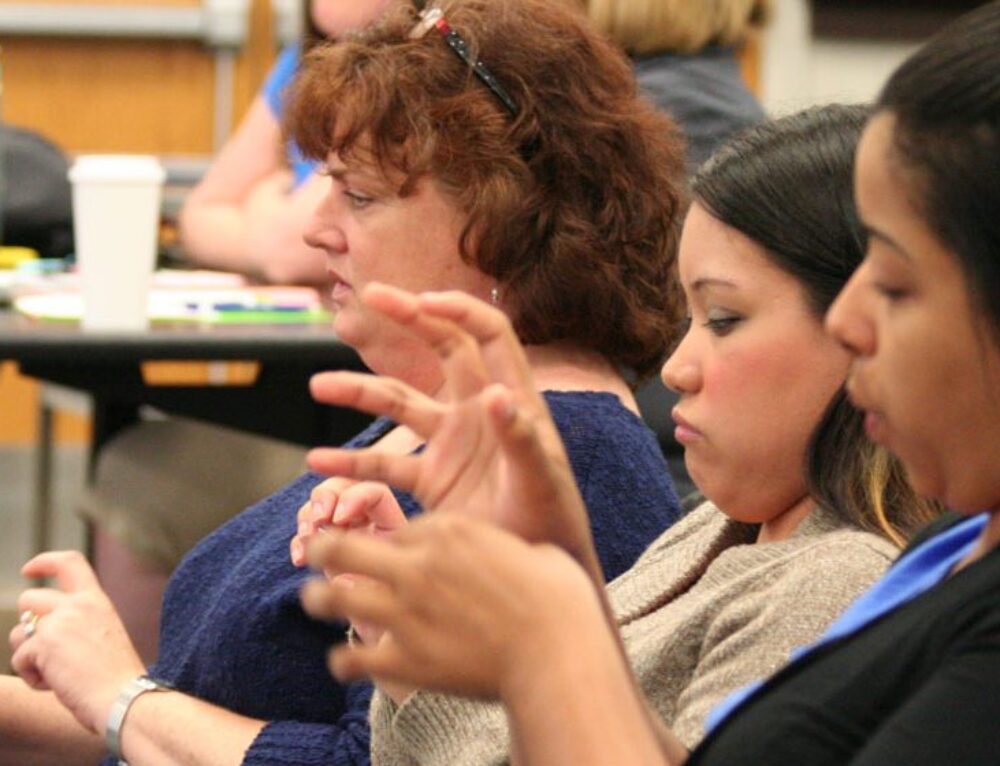 A DI Perspective on The Cokely Model - Dive In