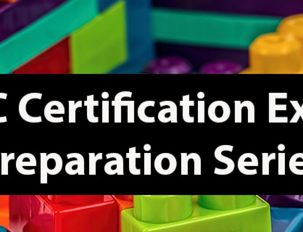 A DI Perspective on The Cokely Model - Dive In