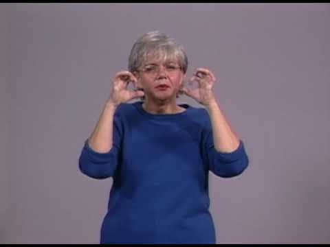 How the Pupil Works - Dive In