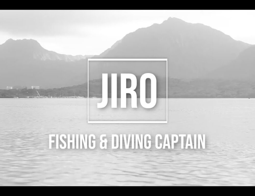 Cokely's Sociolinguistic Model in Deaf Interpreting - Dive In